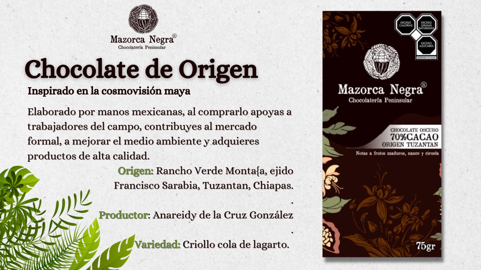 Mazorca Negra – Chocolatería Peninsular